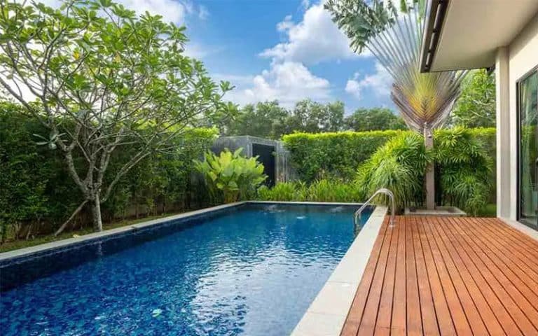 Trees Around Pools: When and How to Remove Them - Milone's Tree Solutions