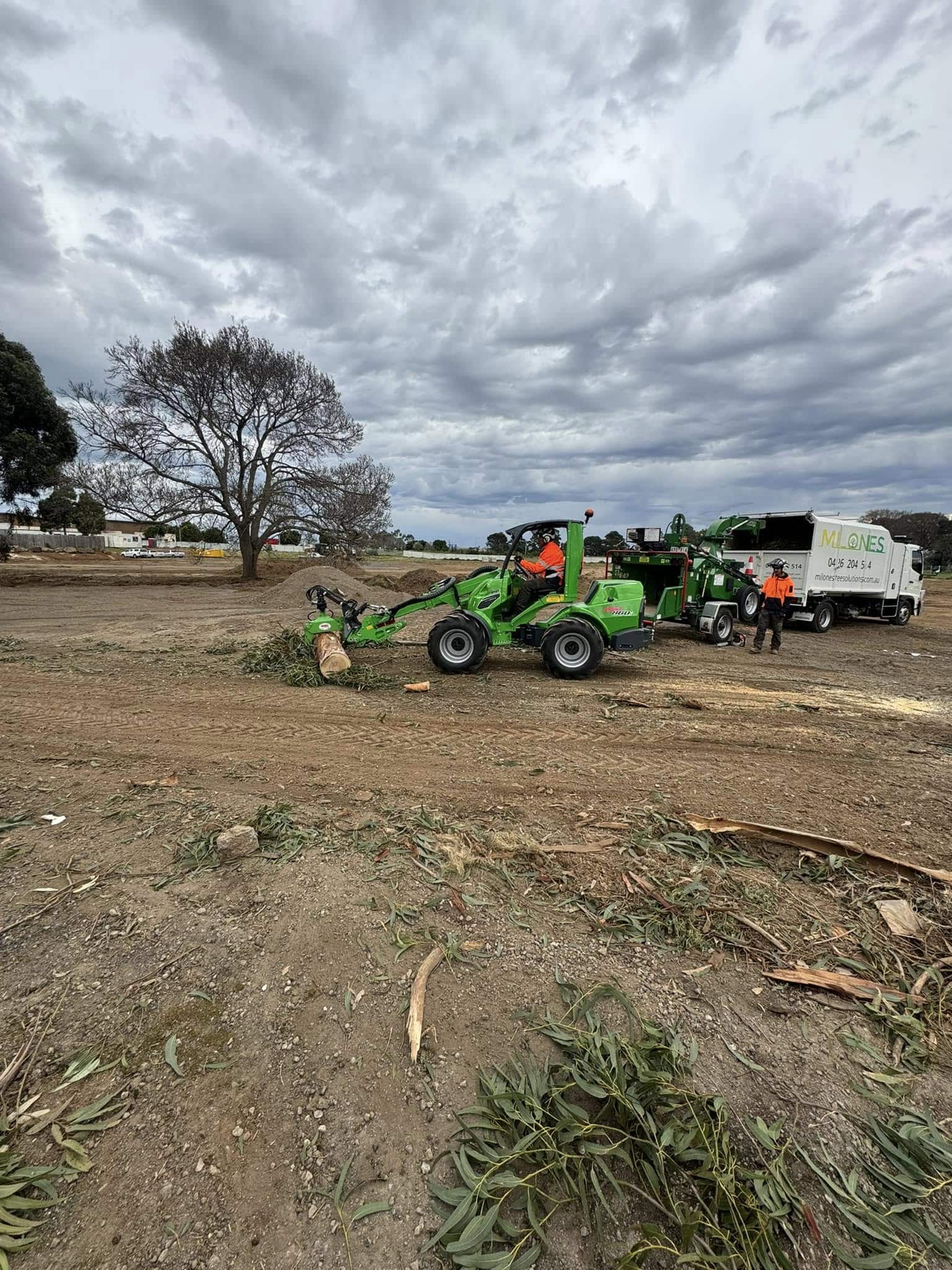Tree Land Clearing Services Melbourne & Regional VIC - Milone's Tree ...