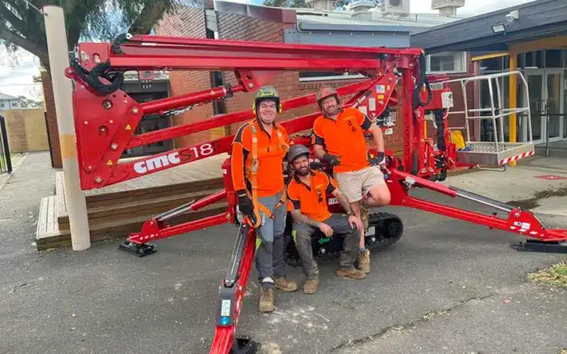 Tree Removal Cost Melbourne 2025 | Full Guide to Tree Services ...